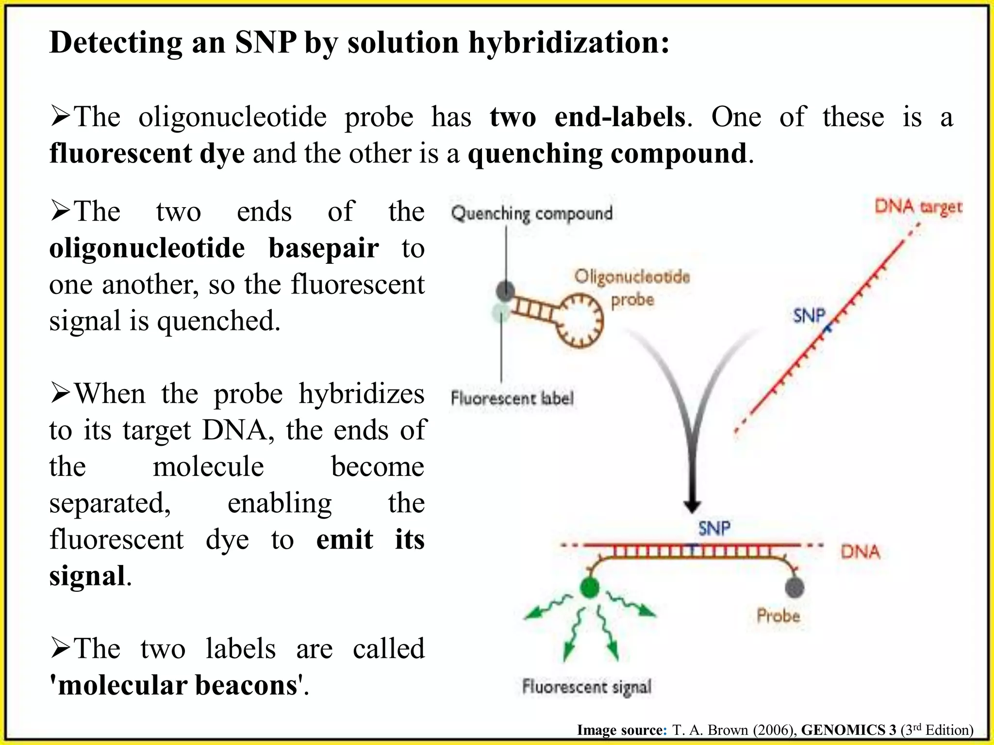 Gene Mapping Methods:Linkage Maps & Mapping with Molecular Markers | PDF