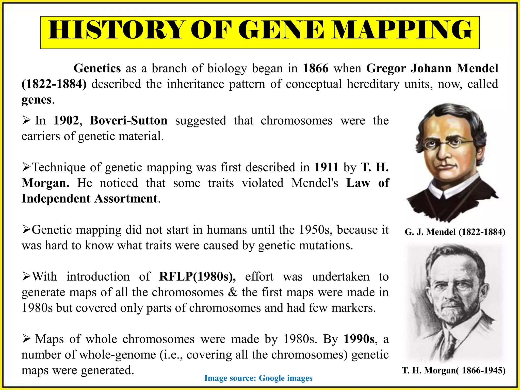 Gene Mapping Methods:Linkage Maps & Mapping with Molecular Markers | PDF