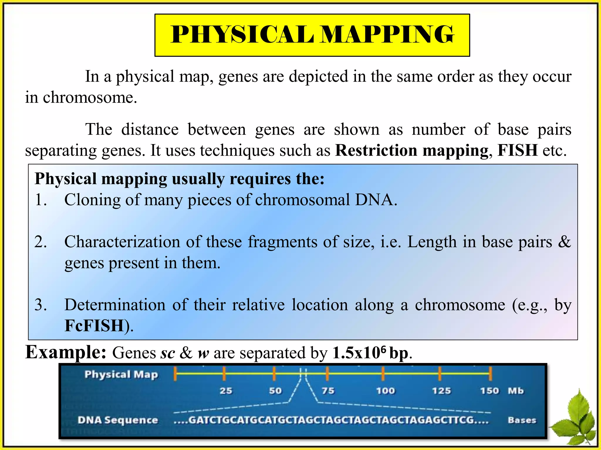 Gene Mapping Methods:Linkage Maps & Mapping with Molecular Markers | PDF
