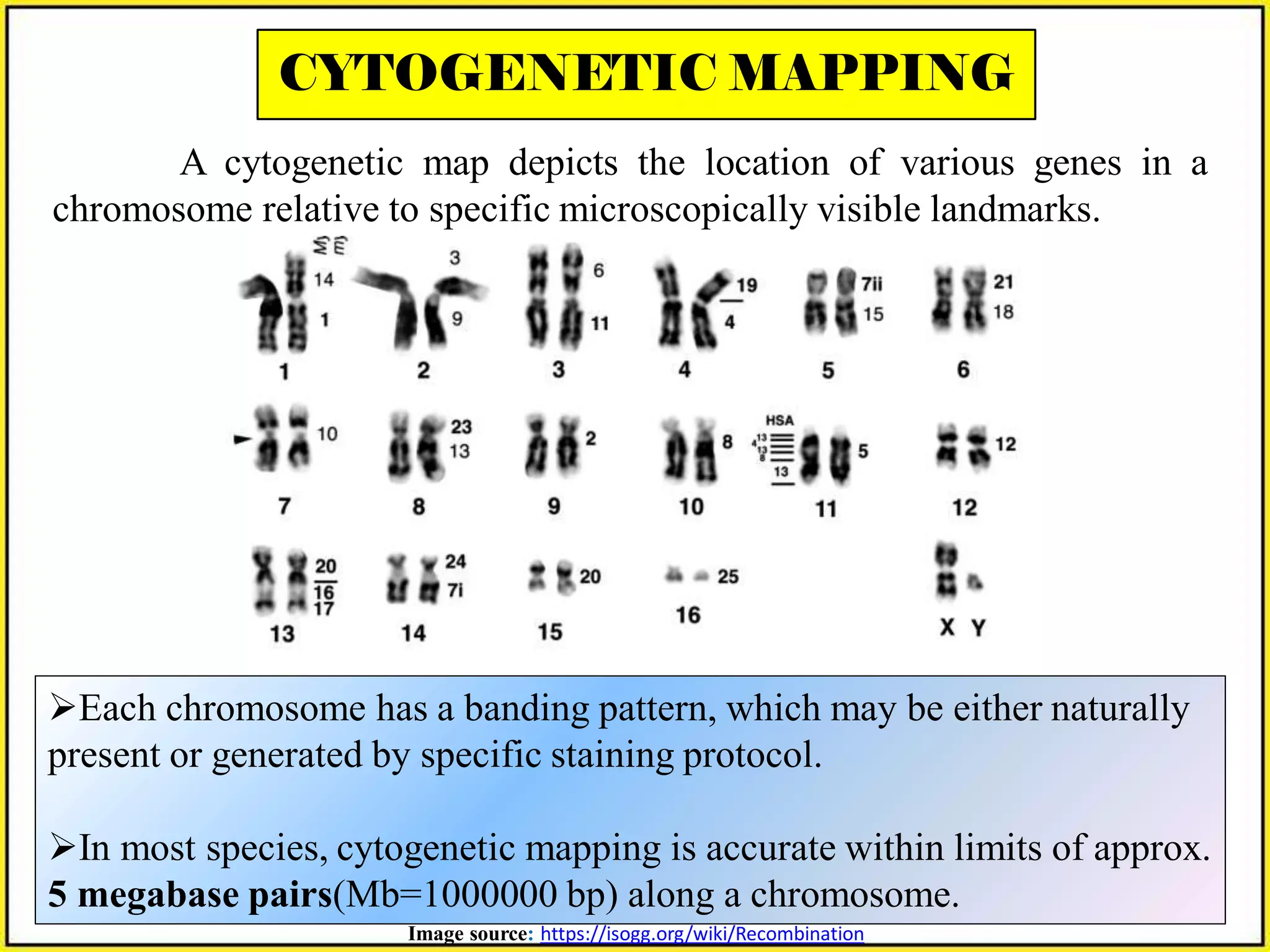 Gene Mapping Methods:Linkage Maps & Mapping with Molecular Markers | PDF