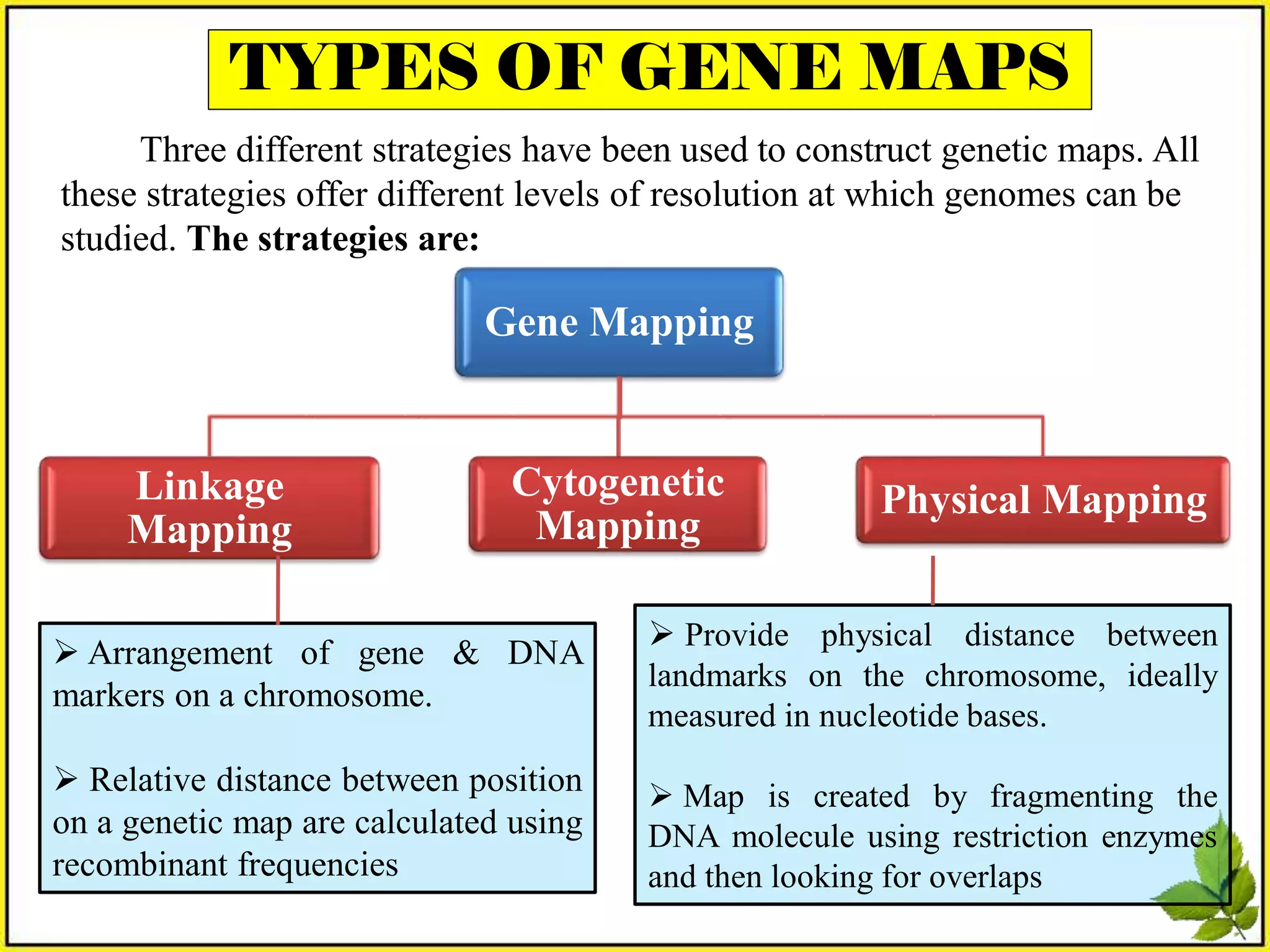 Gene Mapping Methods:Linkage Maps & Mapping with Molecular Markers | PDF