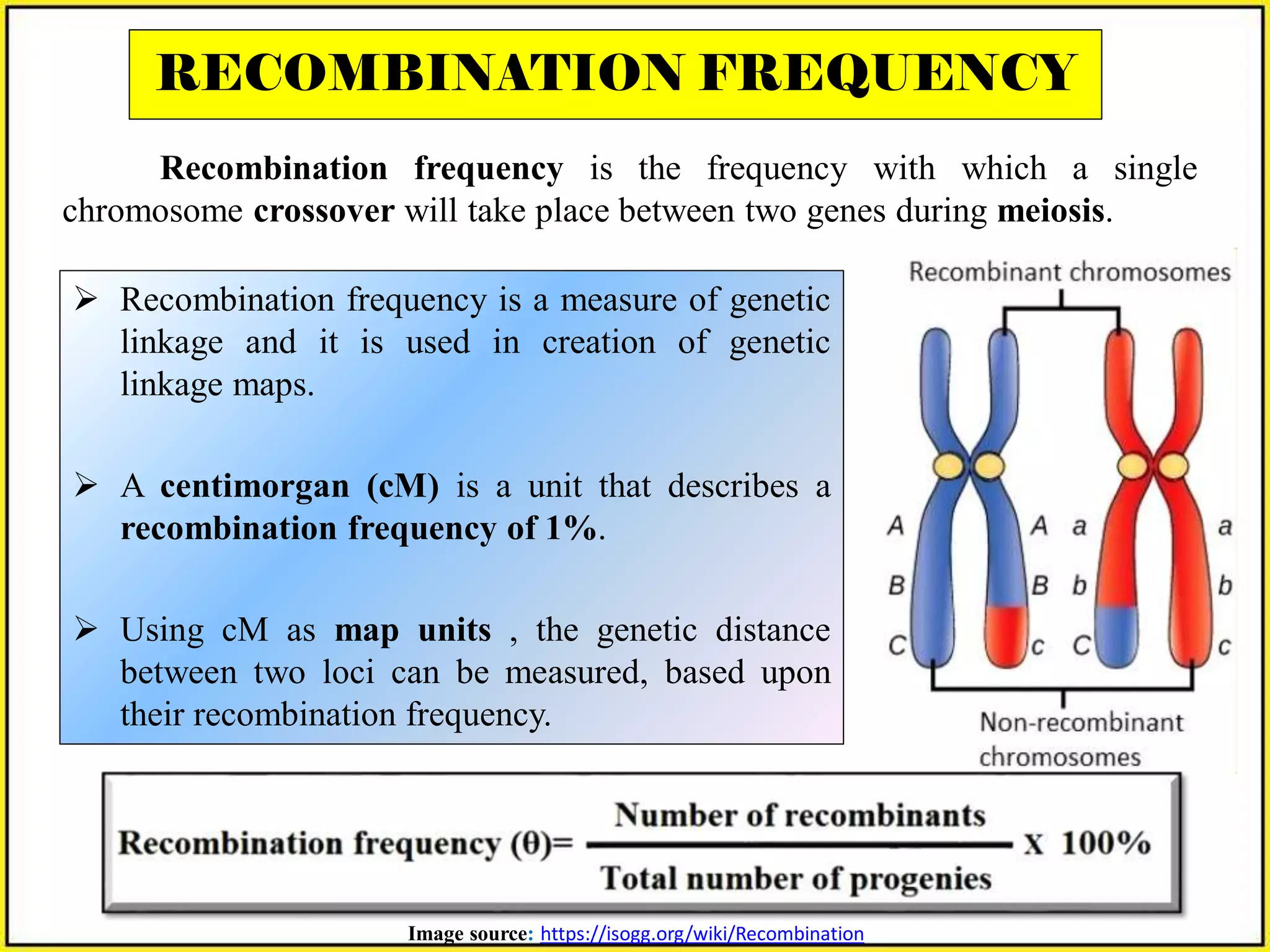 Gene Mapping Methods:Linkage Maps & Mapping with Molecular Markers | PDF