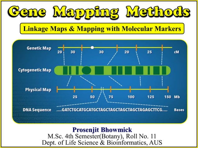 Gene Mapping Methods:Linkage Maps & Mapping with Molecular Markers ...