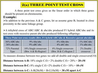 Gene Mapping Methods:Linkage Maps & Mapping with Molecular Markers | PDF