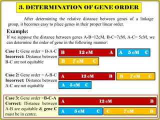 Gene Mapping Methods:Linkage Maps & Mapping with Molecular Markers | PDF