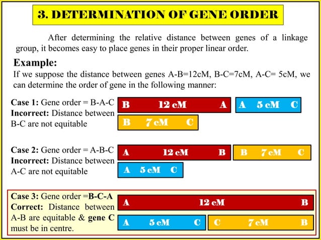 Gene Mapping Methods:Linkage Maps & Mapping with Molecular Markers ...