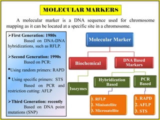 Gene Mapping Methods:Linkage Maps & Mapping with Molecular Markers | PDF