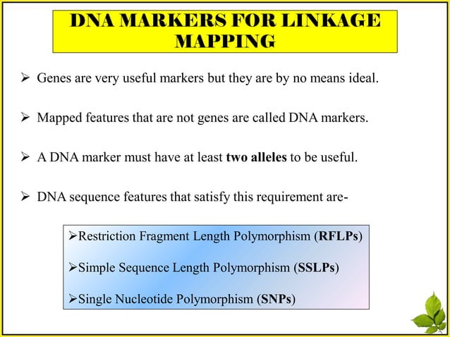 Gene Mapping Methods:Linkage Maps & Mapping with Molecular Markers ...