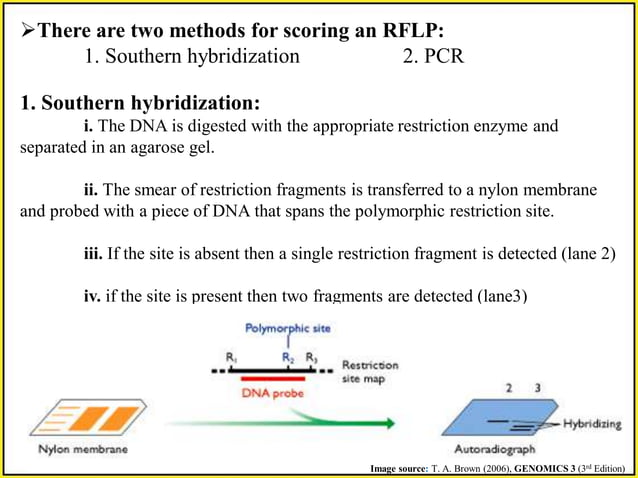 Gene Mapping Methods:Linkage Maps & Mapping with Molecular Markers ...