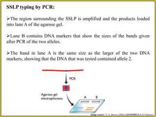 Gene Mapping Methods:Linkage Maps & Mapping with Molecular Markers | PDF