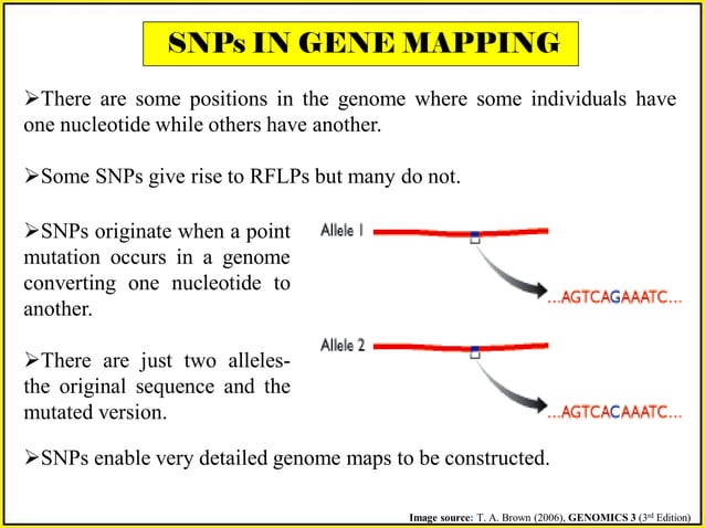 Gene Mapping Methods:Linkage Maps & Mapping with Molecular Markers ...