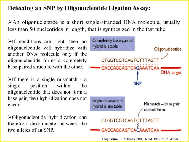 Gene Mapping Methods:Linkage Maps & Mapping with Molecular Markers ...