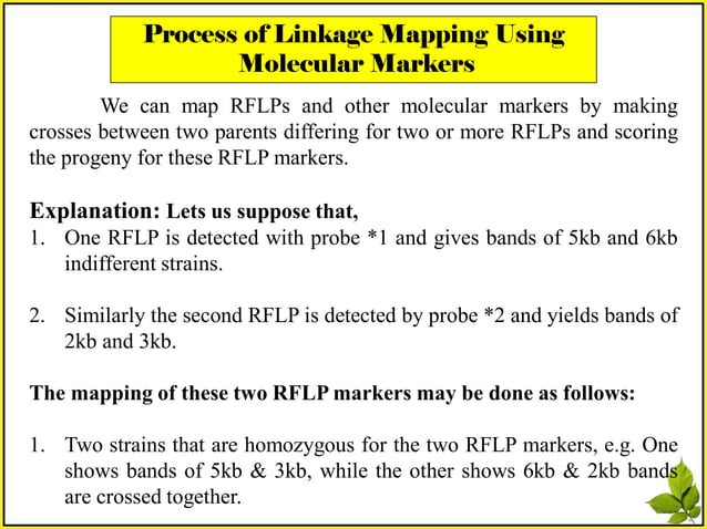 Gene Mapping Methods:Linkage Maps & Mapping with Molecular Markers ...