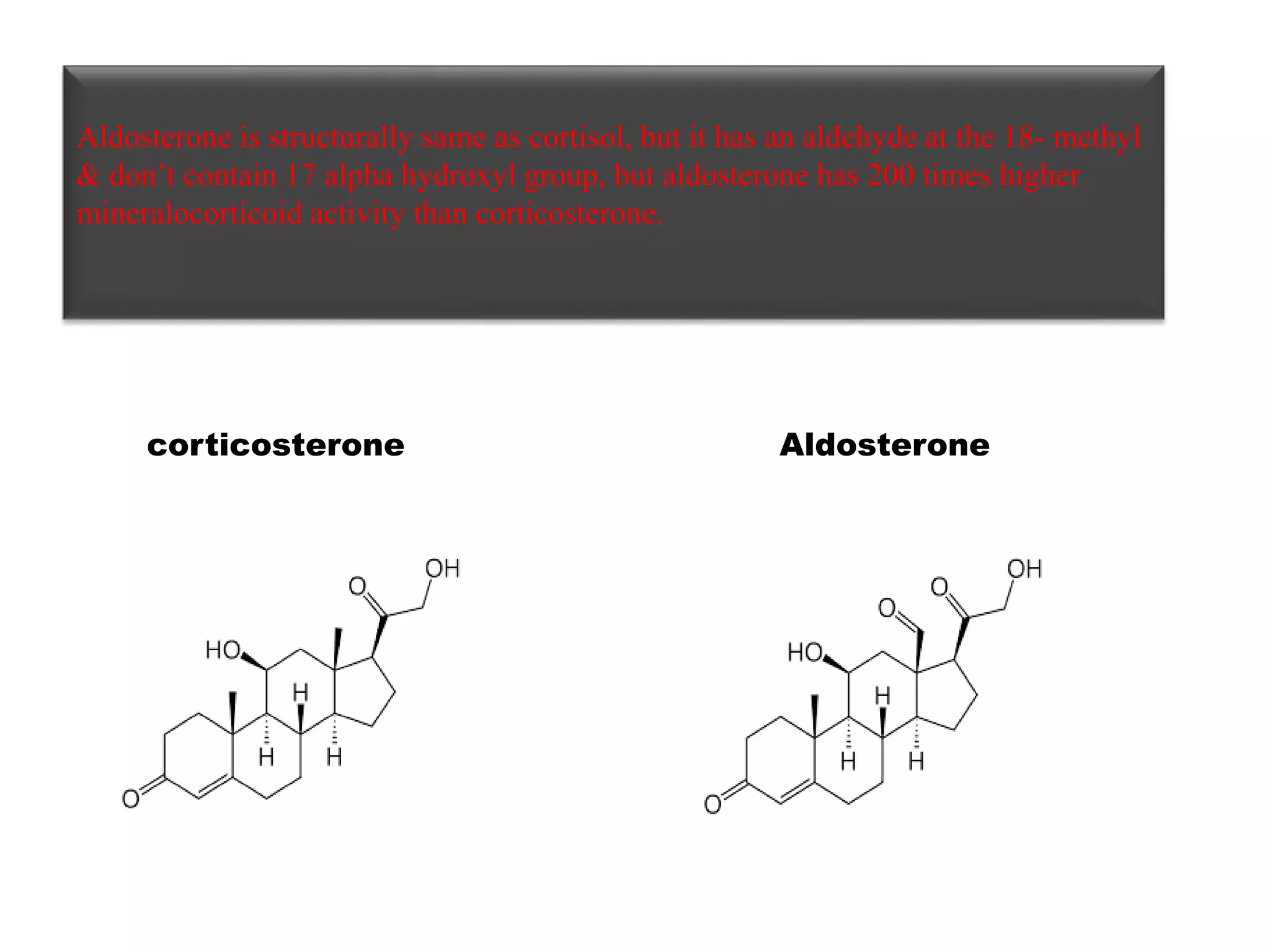 Mineralocorticoids | PPTX