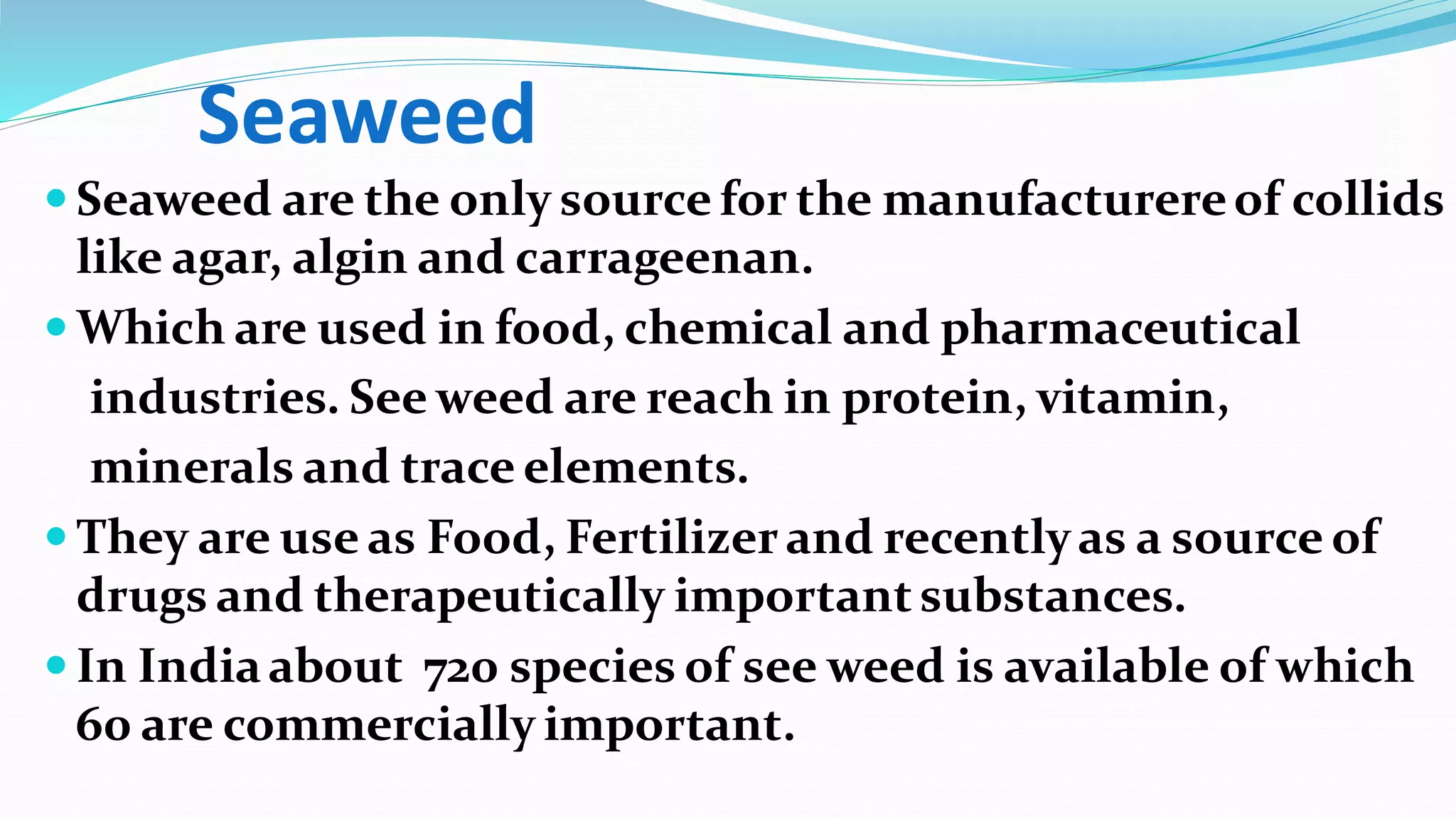 Utilization Of Seaweeds | PDF