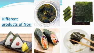 Utilization Of Seaweeds | PDF