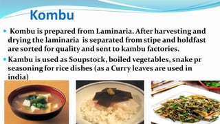 Utilization Of Seaweeds | PDF