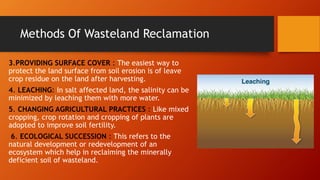 Roll No. 26 wasteland Development (1).pptx