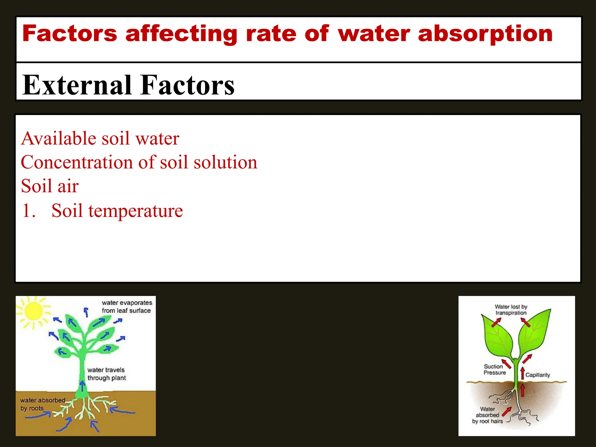 Factors affecting rate of water absorption.pptx