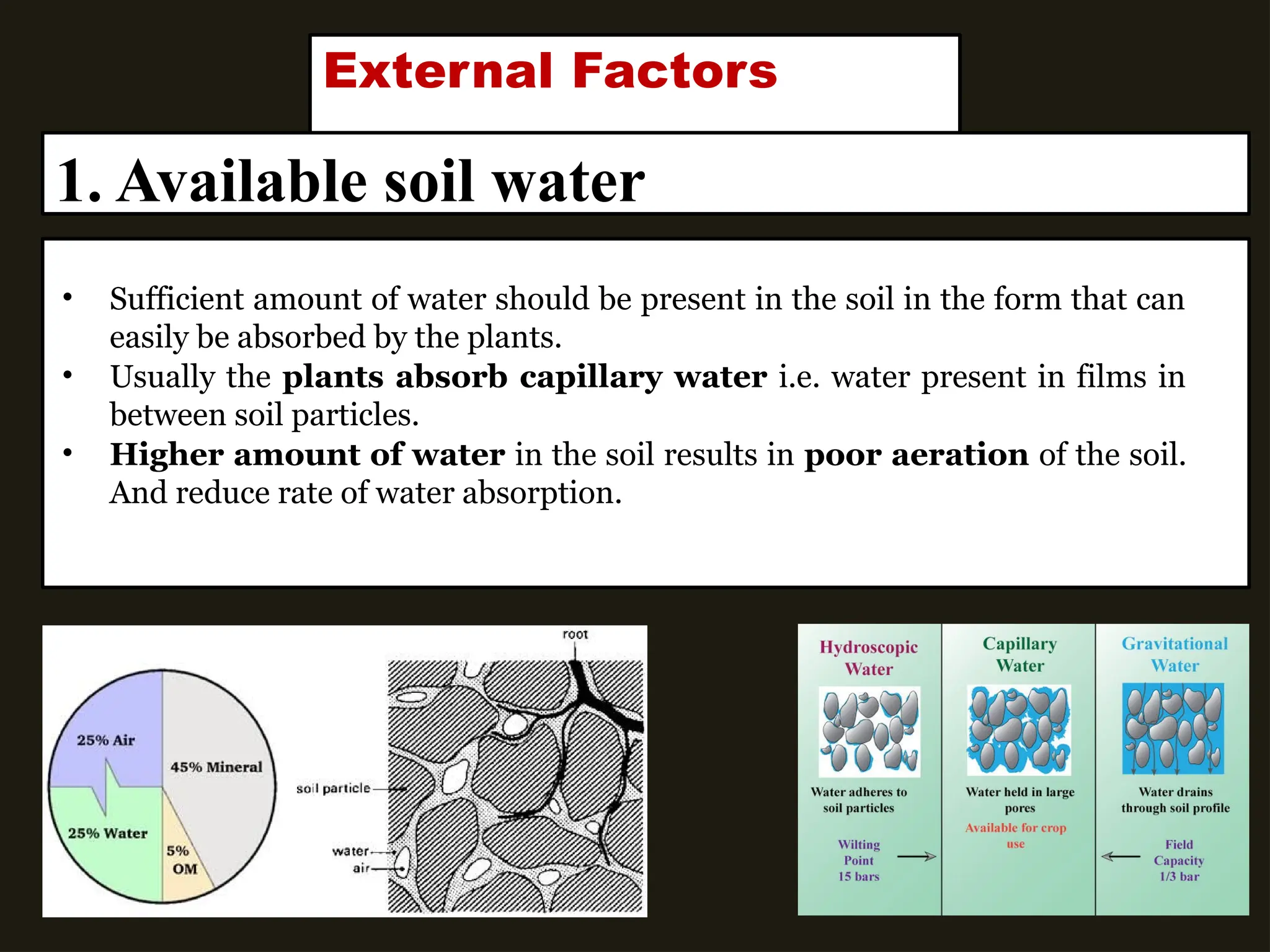 Factors affecting rate of water absorption.pptx