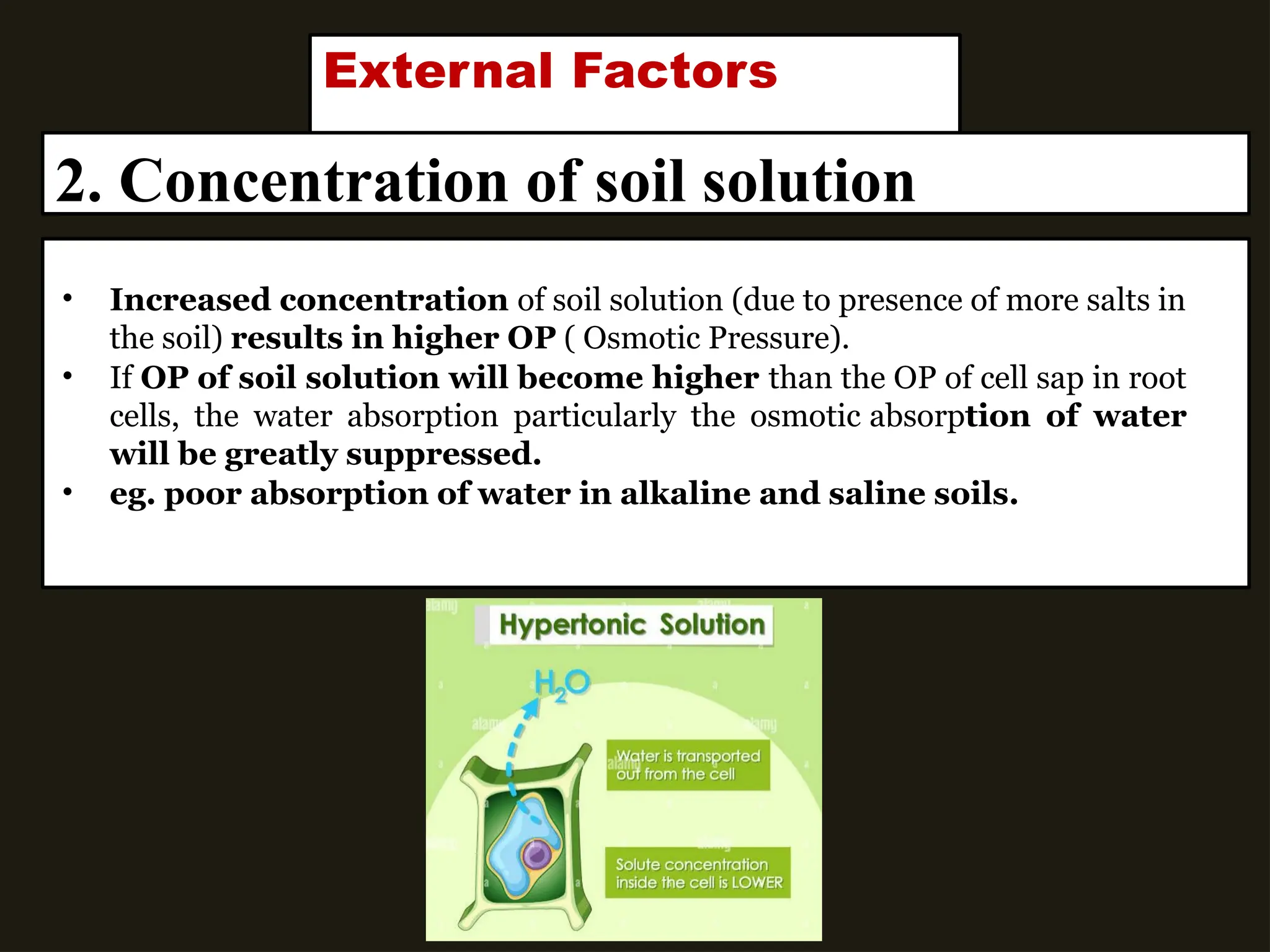 Factors affecting rate of water absorption.pptx