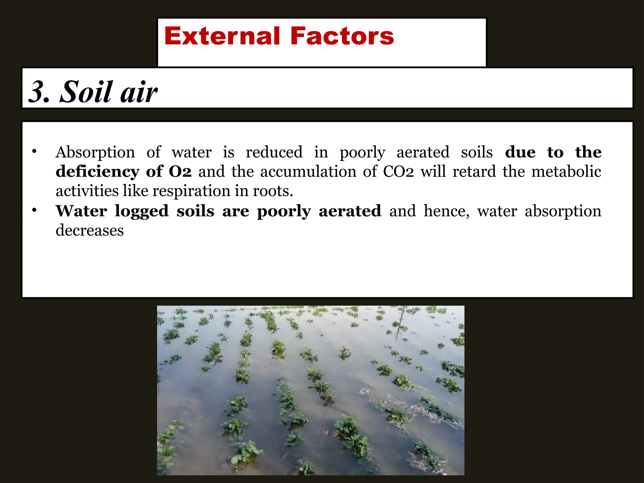 Factors affecting rate of water absorption.pptx