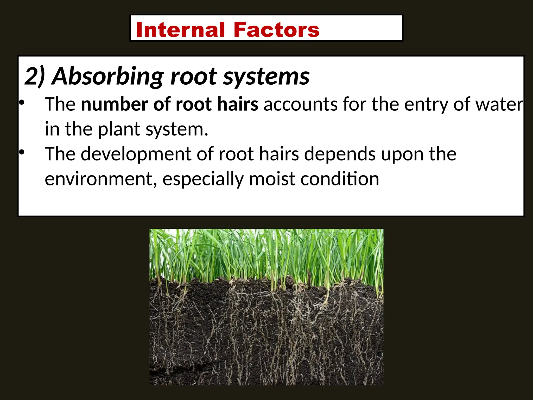Factors affecting rate of water absorption.pptx
