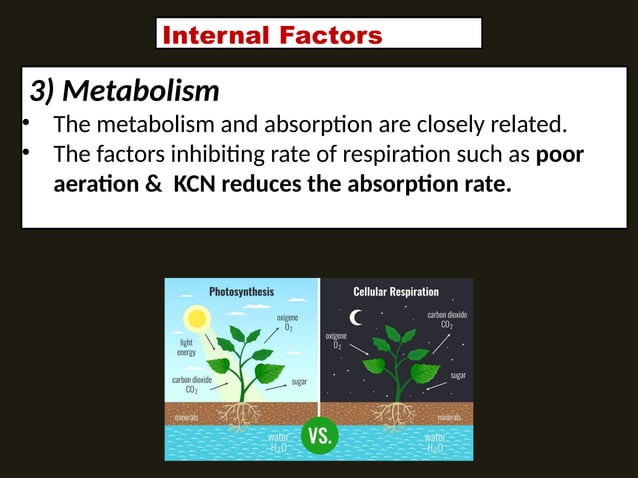 Factors affecting rate of water absorption.pptx