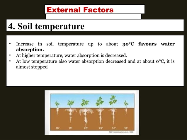 Factors affecting rate of water absorption.pptx