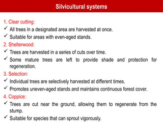 Presentation of Shorea assamica____.pptx