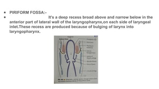Piriform fossa Piriform fossa anatomy .pptx