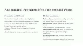 Roll no. 113 Rhomboid Fossa anatomy.pptx