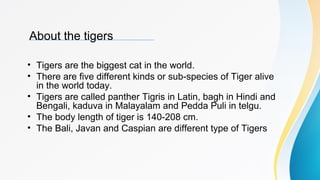 save tiger for class IX | PPT