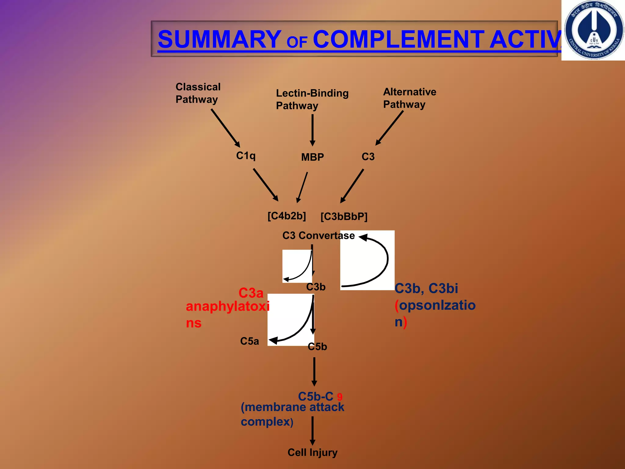COMPLEMENT SYSTEM[immunology] | PPTX