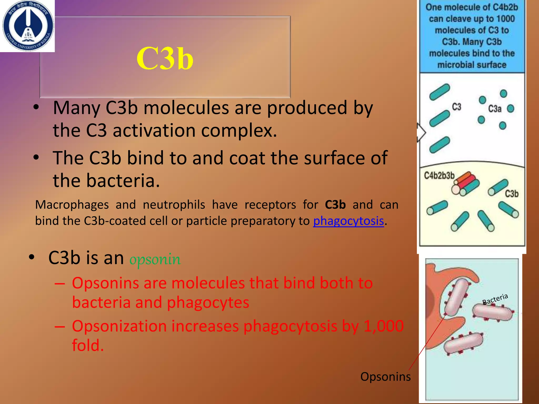 COMPLEMENT SYSTEM[immunology] | PPTX