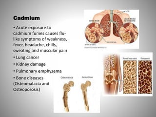 Hazardous Materials in Computer System & its Impact | PPT
