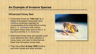 BIOINVASION INVASIVE SPECIES, NATIVE SPECIES, EXOTIC SPECIES | PPTX