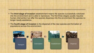BIOINVASION INVASIVE SPECIES, NATIVE SPECIES, EXOTIC SPECIES | PPTX
