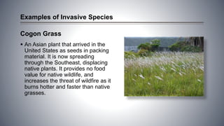 BIOINVASION INVASIVE SPECIES, NATIVE SPECIES, EXOTIC SPECIES | PPTX