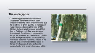 BIOINVASION INVASIVE SPECIES, NATIVE SPECIES, EXOTIC SPECIES | PPTX