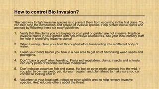 BIOINVASION INVASIVE SPECIES, NATIVE SPECIES, EXOTIC SPECIES | PPTX