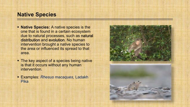 BIOINVASION INVASIVE SPECIES, NATIVE SPECIES, EXOTIC SPECIES | PPTX