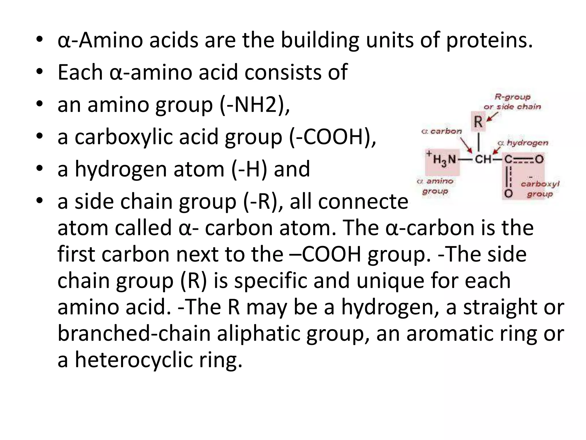 STRUCTURE OF PROTEIN AND ESSENTIAL & NON-ESSENTIAL AMINO ACIDS. | PPTX