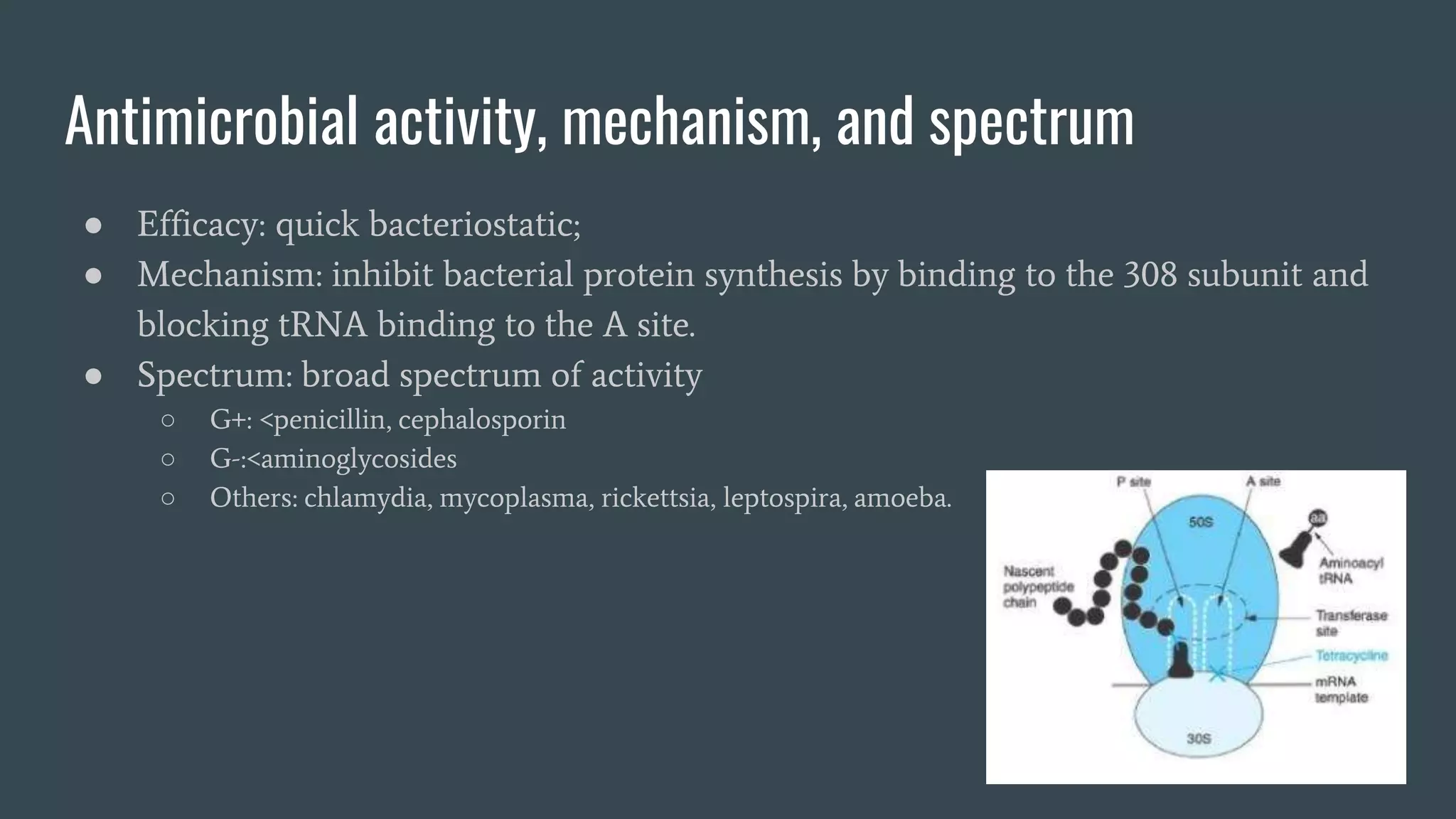 Broad spectrum antibiotics | PPT