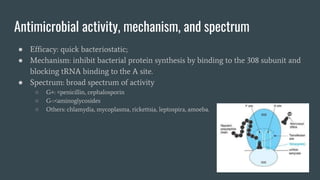 Broad spectrum antibiotics | PPT