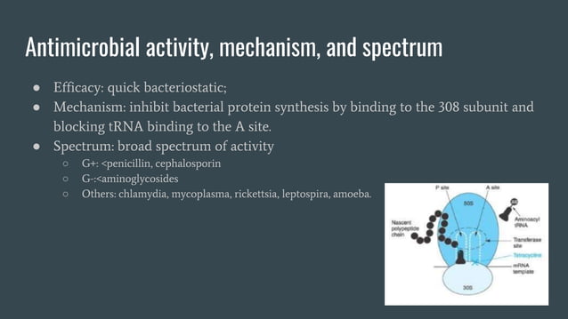 Broad spectrum antibiotics | PPT