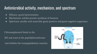 Broad spectrum antibiotics | PPT