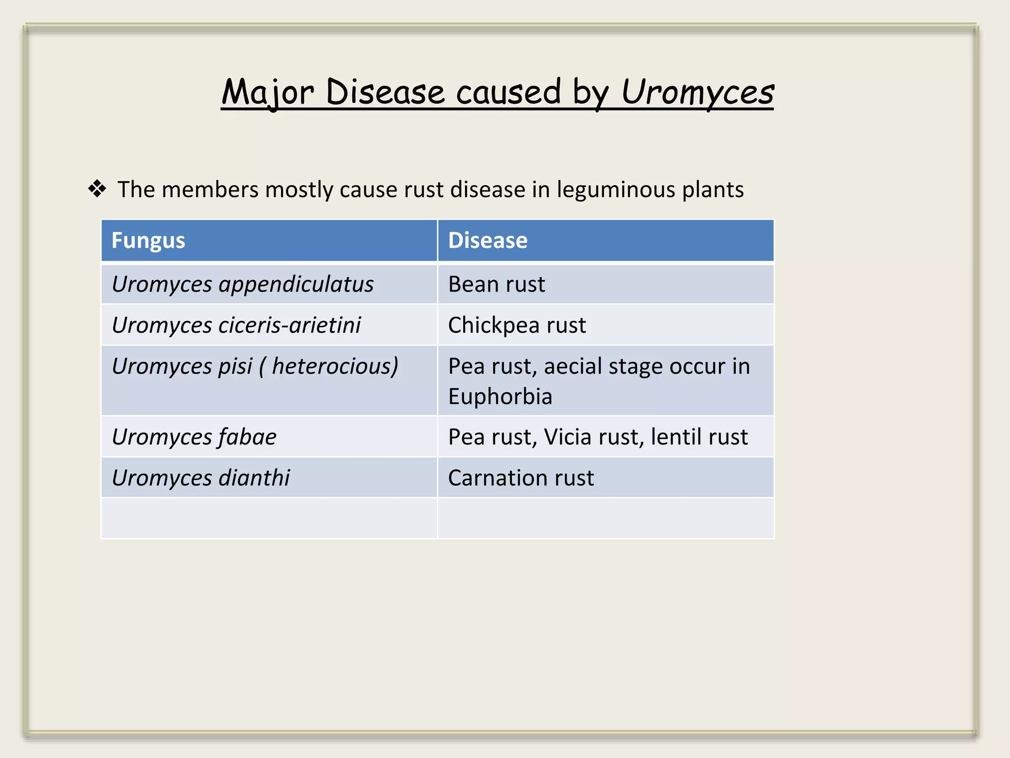 Uromyces | PPT