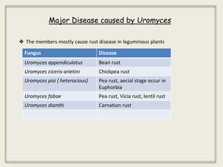 Uromyces | PPT