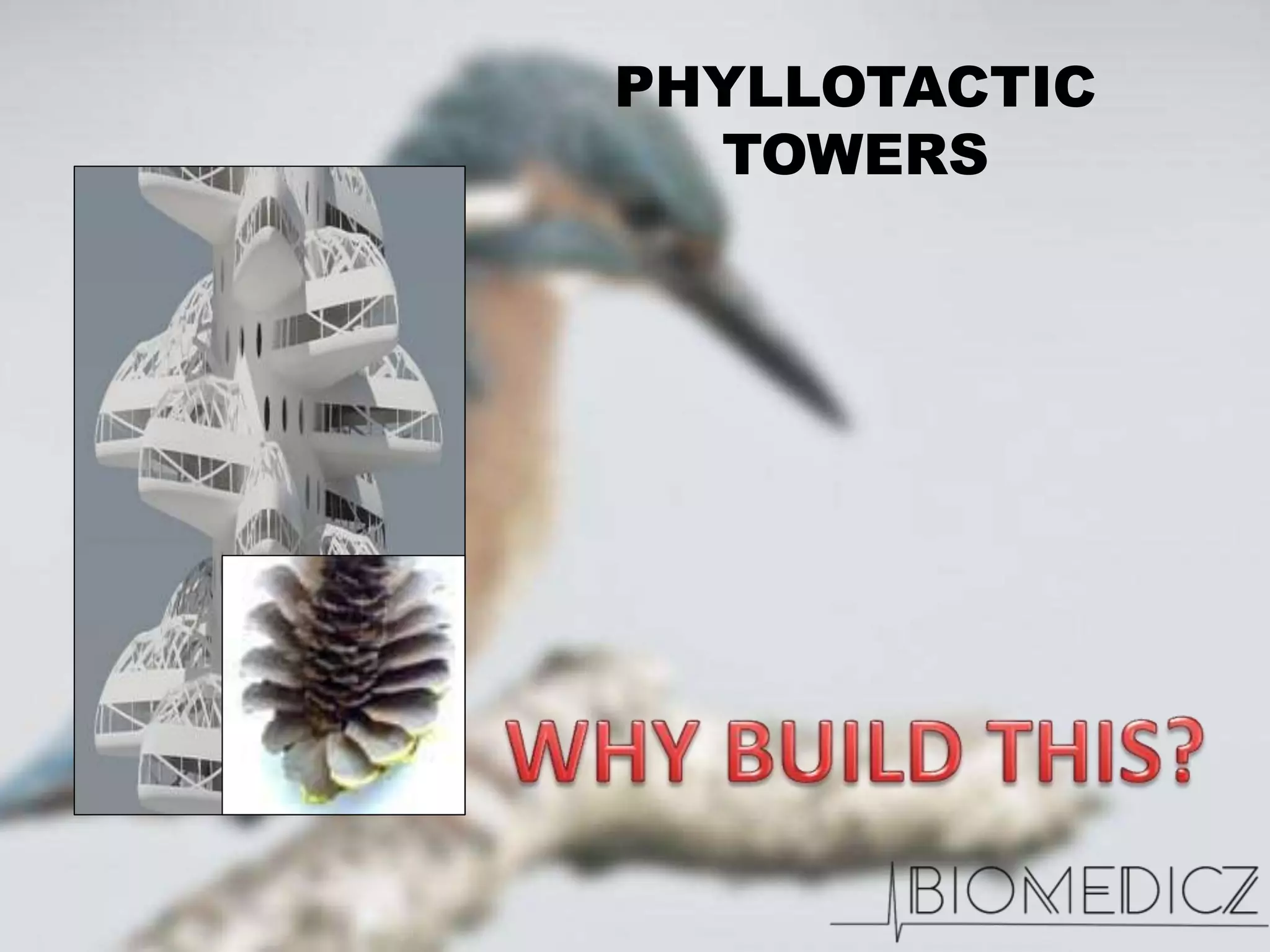 Biomimetics | PPTX